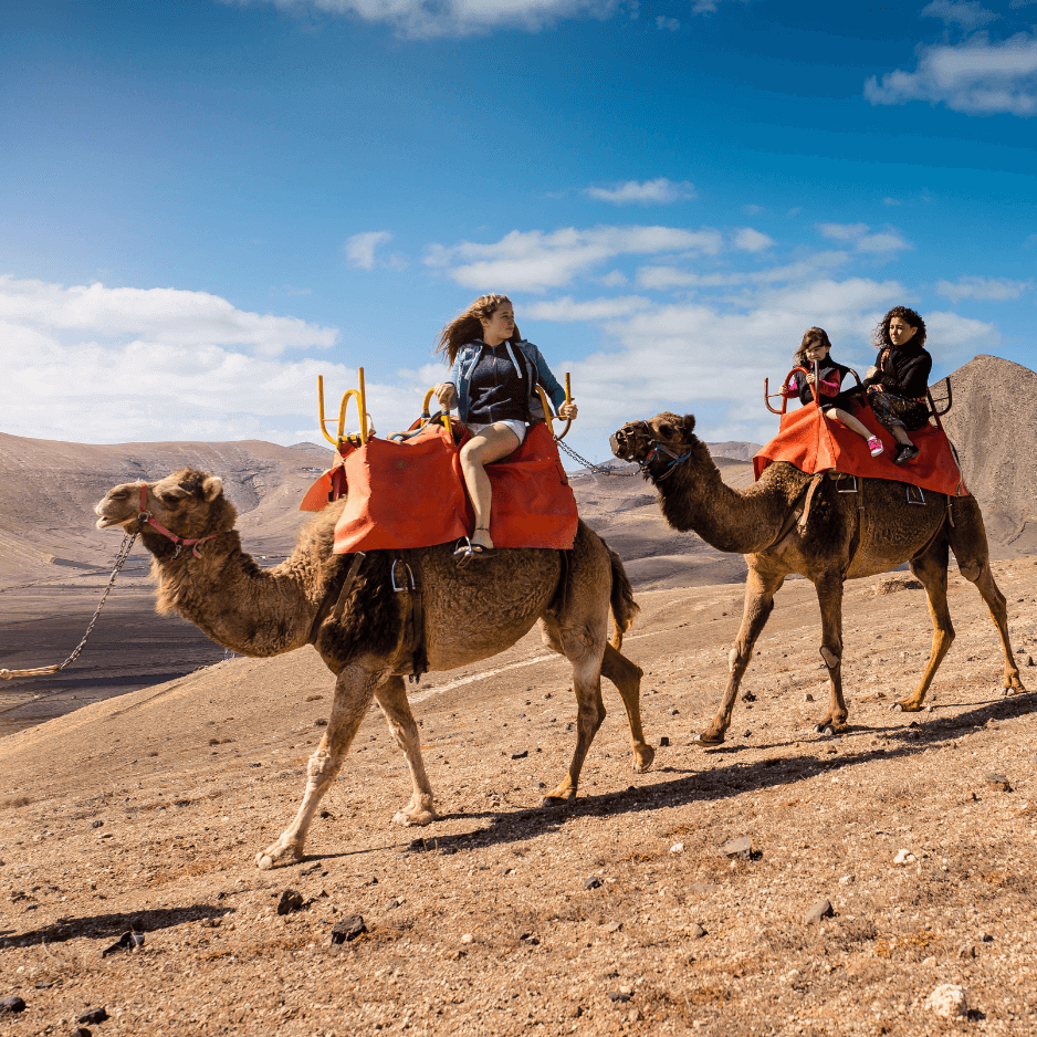 Agadir Camel Ride - Low Tours - Excursions & Tours